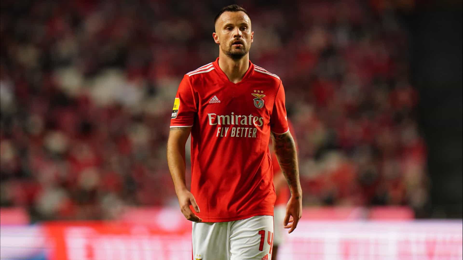 Seferovic - Oficial - Bancada Central